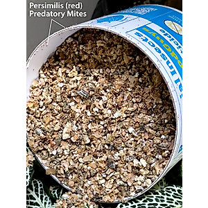 NaturesGoodGuys - Live Adult Phytoseiulus persimilis - Best for Two Spotted Spider Mites (2,000 Live Adult P. Persimilis)