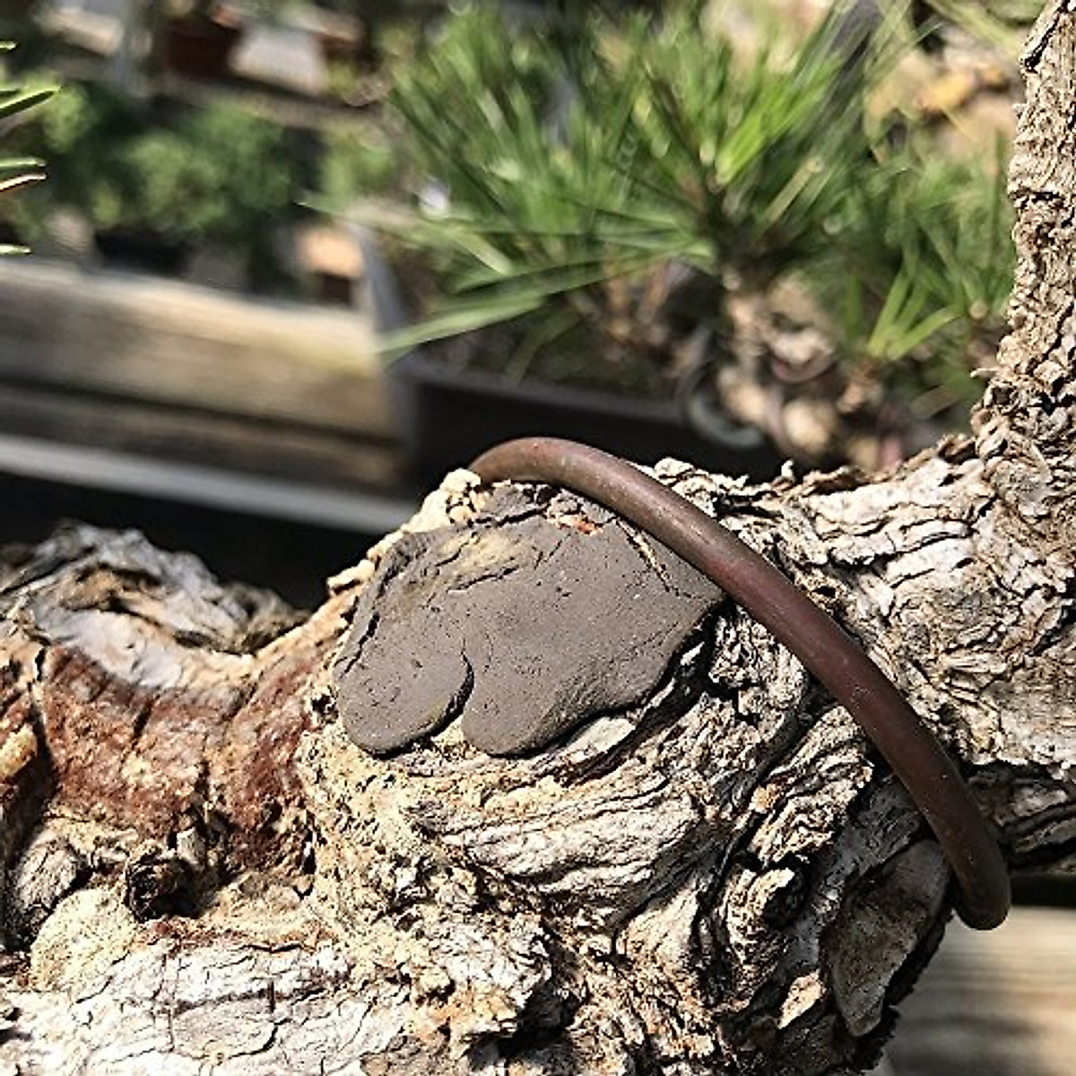 Kiyonal New Bonsai Pruning Cutting Paste 100g Made in Japan