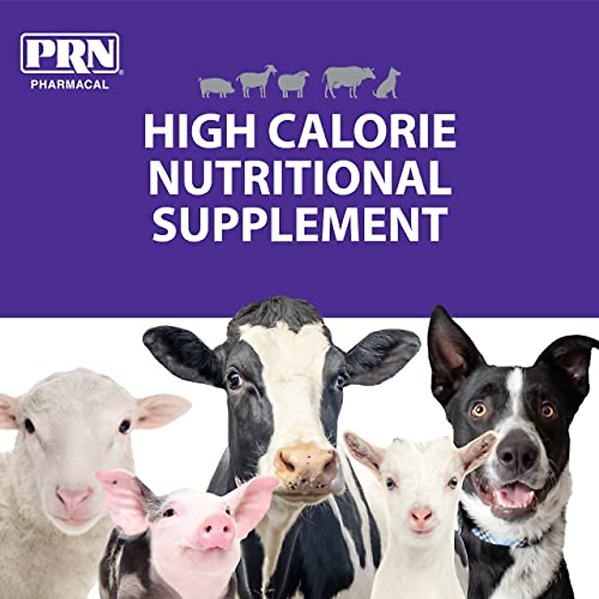PRN Pharmacal STAT - High Calorie Nutritional Supplement to Help Restore Hydration & Nutrition Levels in Animals - Vanilla Flavored Dietary Support with Vitamin A, D3, C, E, & More - 16 Fl Oz
