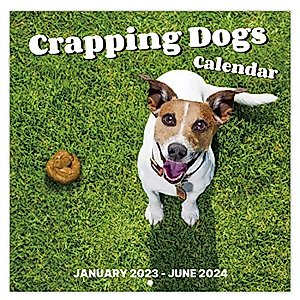 2023-2024 Wall Calendar – 18 Monthly Pooping Dogs Calendar 2023, Jan 2023 - Jun 2024, Funny Gag Gifts Dog Calendar, 11.8" x 23.6" (Open), 11.8" x 11.8"(Closed), Perfect White Elephant Gift Funny