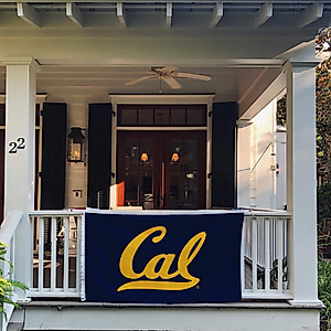 Desert Cactus University of California Berkeley UCB Flag - 3 x 5 Feet Golden Bears Banner, Indoor/Outdoor Durable Fabric, 100% Polyester Design (Style 2)