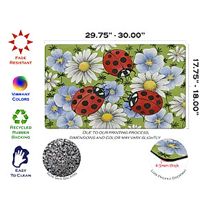 Toland Home Garden 800209 Flowers and Ladybugs Spring Door Mat 18x30 Inch Summer Outdoor Doormat for Entryway Indoor Entrance