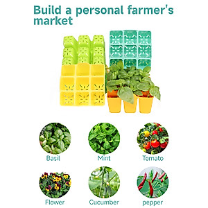 LUVCOSY 4 Packs Silicone Seed Starter Tray, Colorful Seedling Starter Trays Fit Up to 10" 10" Planting Tray, BPA-Free & Dishwasher Safe, Indoor Reusable Seedling Grow Kit for Vegetable, Flower, Herb