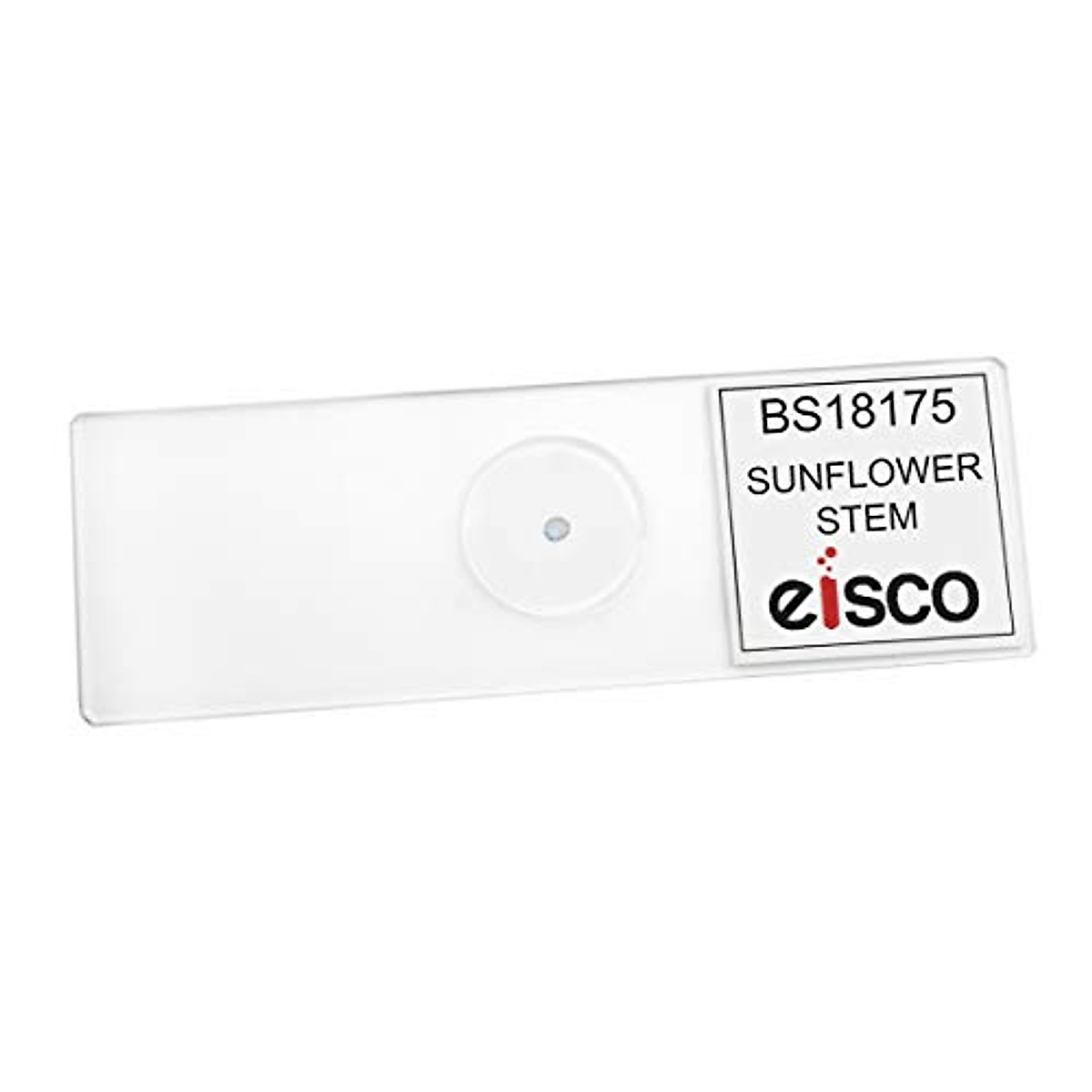 Sunflower Stem, Cross Section - Prepared Microscope Slide - 75 x 25mm - Biology & Microscopy - Eisco Labs