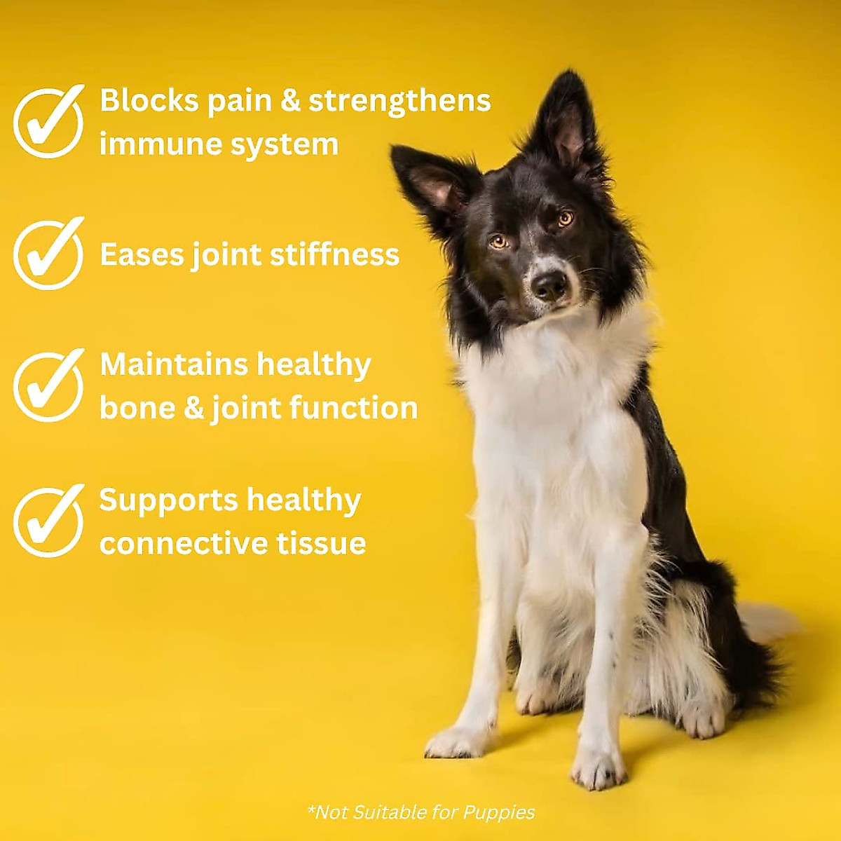 CurcuPet-K9 Joint Supplement for Dogs | Supports Cartilage, Connective Tissue and Overall Joint Health, 56 Tablets | Suitable for All Breeds and Sizes