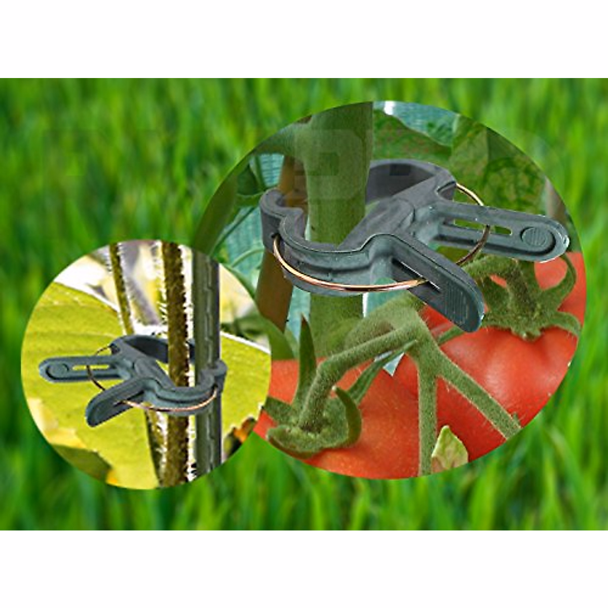 Ram-Pro 40 Piece Green Gentle Gardening Plant & Flower Lever Loop Gripper Clips, Tool for Supporting or Straightening Plant Stems, Stalks, and Vines, Garden Clips