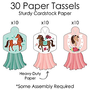 Big Dot of Happiness Run Wild Horses - 90 Chain Links and 30 Paper Tassels Decoration Kit - Pony Birthday Party Paper Chains Garland - 21 feet