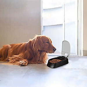 PAWISE Automatic Pet Feeder for Dogs and Cats, 1.5 Cup Food Dispenser Feeder with 48-Hour Timer - Single