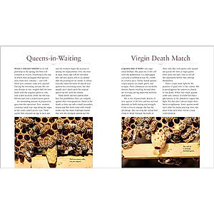 QueenSpotting: Meet the Remarkable Queen Bee and Discover the Drama at the Heart of the Hive; Includes 48 Queenspotting Challenges