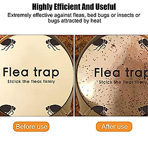 Flea Trap Indoor, Sticky Bed Bug Trap Indoor Pest Control Trapper Insect Killer 2 Glue Discs Light Bulbs