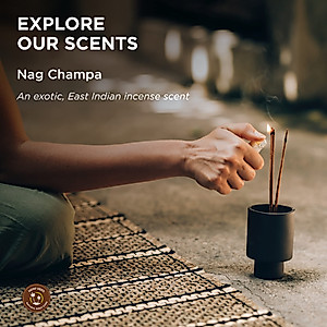 Hemp Seed Hair Care Conditioner, Nag Champa - 8 oz - Keeps Hair Feeling Soft & Smooth - With Hemp Seed Oil, Coconut Oil & Vitamin E - Vegan, Cruelty Free