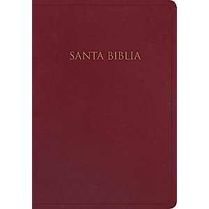 Biblia Reina Valera 1960 para Regalos y Premios. Imitación piel, borgoña | Gift and Award Holy Bible RVR60. Imitation Leather, Burgundy (Spanish Edition)