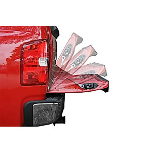 Dee Zee DZ43204 Tailgate Assist fits 2015-Current Ford F150, Multicolor