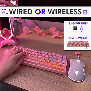Tilted Nation 65% Percent Keyboard Pink - Compact Hot Swappable Mechanical Keyboard - Dual Wired or 2.4G Wireless RGB Gaming Keyboard - Rechargeable, 68 Key, Customizable RGB, Brown Switches