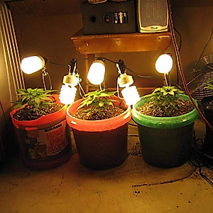 Simple Deluxe HIWKLTCLAMPSOCKET 1-Pack E26 Clamp Light Socket up to 150 Watt 18/2-Gauge 6 Feet Cord, Lamp, Black