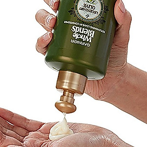 Garnier Hair Care Whole Blends Replenishing Leave-in Conditioner, 10.19 Flu