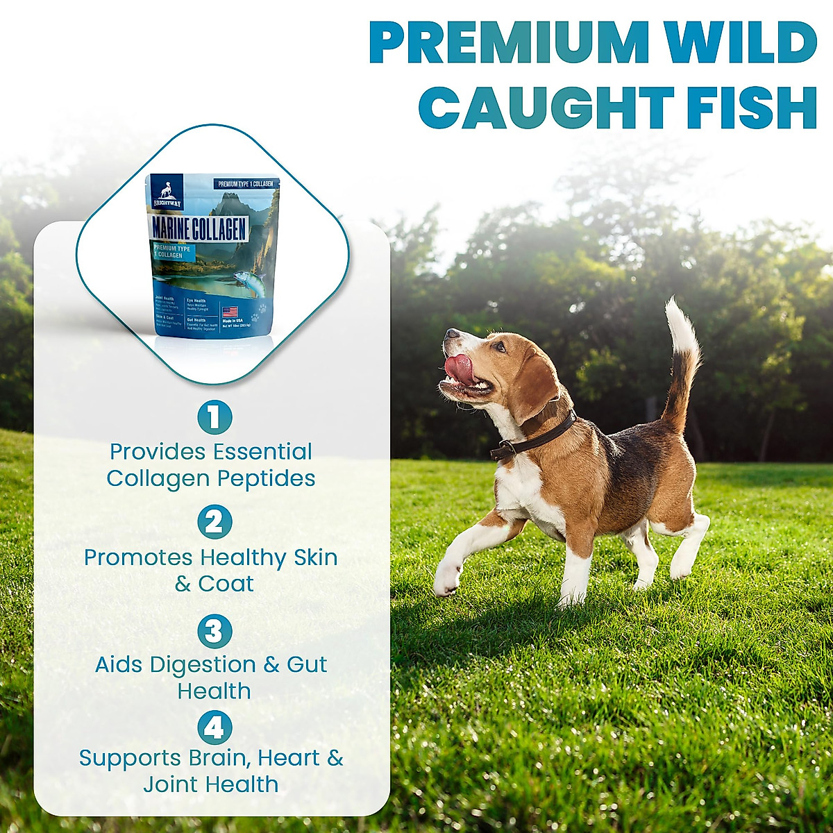 Wild Caught Marine Collagen Peptide for Dogs- Improves Gut, Skin & Coat Health, Allergies, Pet Mobility Hip & Joint Supplement Health