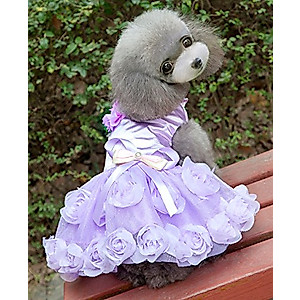 SMALLLEE_LUCKY_STORE Pet Small Dog Wedding Dress with Bowknot Birthday Party Costume Satin Rose Pearls Girl Formal Dress Cat Tutu Purple Violet XXL