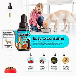 Hip & Joint Glucosamine Drops for Pets - Advanced Formula with Glucosamine, Chondroitin & MSM - Enhances Mobility Support - Natural Pain Relief for Dogs and Cats - Anxiety Supplement for Senior Pets