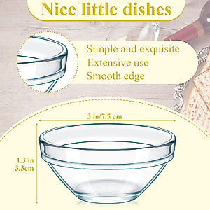 24 Pcs Passover Seder Plate Glass Dishes Liners Mini Plates 4 Sets of 6 with Hebrew and English Translation Glass Seder Plate Liners Decor for Passover Pesach Seder Round Glass Bowls, Small