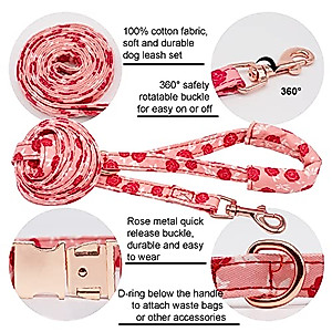 Hilkycton Dog Collar and Leash Set with Flower Bow Tie Girls Dog Collar Dog Tag Metal Buckle Adjustable for Small Medium Large Dogs Pink Roses-S
