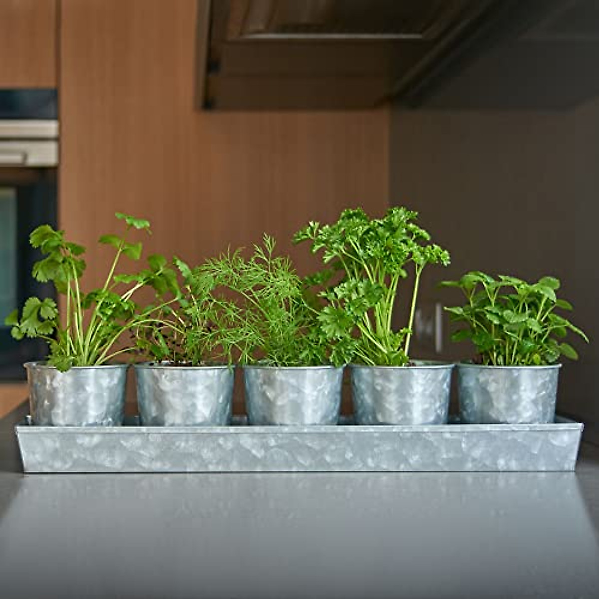 SCANDINORDICA Galvanized Herb Planter – 5 Herb Pots with Drainage Holes and Tray, Windowsill Planter, Indoor Herb Garden Planter Outdoor, Herb Pots for Indoor Plants | Windowsill Herb Garden