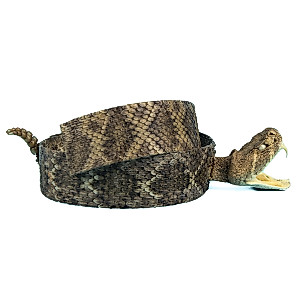 1.25" Rattlesnake Hat Band with Head & Rattle (598-HB204)