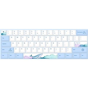 FKZ CXTECH X61 Sea Blue Theme Mechanical Keyboard,Outemu Hot Swap Switch Cherry Profile PBT Custom Keycaps,Mini 61 Keys Type-C Wired Keyboard,White Backlit 60% Gaming Keyboard (Red Switch)