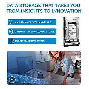 Dell 400-ALCR 6TB 7.2K SAS 12Gb/s 3.5-Inch Hard Drive in G13 Tray Bundle with Compatily Screwdriver Compatible with C5G97 NWCCG 400-AHFM 0NWCCG 8D1V4 PRNR6 400-AFNY 400-ANSC 400-AKMJ 400-AKKU
