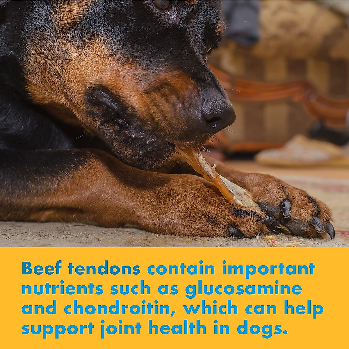 123 Treats | Beef Tendon Chews for Dogs | Snacks Made from Tendons | 7-9 inches - Stick for Dogs (8oz Bag)