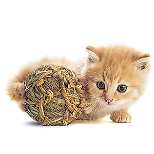 SunGrow Seagrass Balls for Rabbit, for Pet’s Gums & Teeth, Chewable Teething Activity Toy for Gerbils, Guinea Pig, Dwarf Bunny, 1 Pc