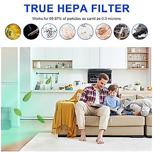 Can-Meageren Replacement H13 HEPA Filter Compatible with RENPHO HIMOX M11 Air Purifier 2-pack