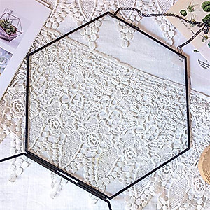 NCYP Side Length 6.8 inches Large Hanging Black Hexagon Herbarium Brass Glass Frame for Pressed Dried Flowers, Poster, Double Glass, Floating Frame Style, Glass Frame Only