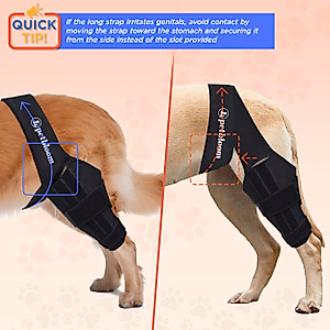 petbloom Dog Knee Brace for Torn ACL, Hip Dysplasia, Arthritis Pain Relief, Osteoarthritis, and Ligament Injuries, Adjustable Neoprene Support for Front or Hind Leg, Black (Large)