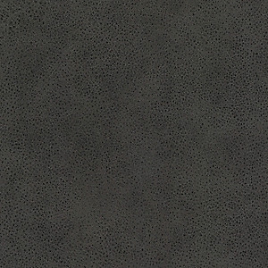 Lexicon Valois Double Reclining Sofa, Gray