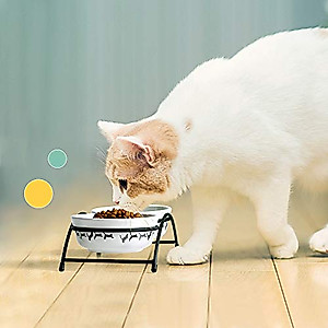 Y YHY Cat Bowls Elevated, Cat Food Dish Raised, Tall Cat Bowls for Food and Water, Ceramic Pet Dishes for Cat or Dogs, Anti Vomiting, Whisker Fatigue, Dishwasher Safe, 12 Ounces