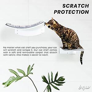 bqw Floating Cat Shelf Wall Mounted Cat Bed Furniture Climbing Wall for Cat Perching Sleeping Lounging with 2 Steps (Curved)