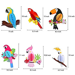 KESOTE 6 Pieces Hawaiian Tropical Parrot Bird Honeycomb Hanging Party Decorations, Summer Tiki Bar Party Decor, Rainforest Decorations Garden Yard Room Decor