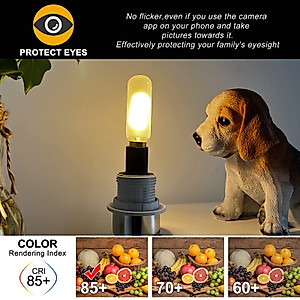 Frosted T6 LED Bulbs, 4W E12 Edison Light Bulbs Soft White 3000K,400lm, 40W Candelabra Incandescent Bulbs Equivalent Vintage LED Filament Edison Candle Bulb with Decorative, 6Pack.