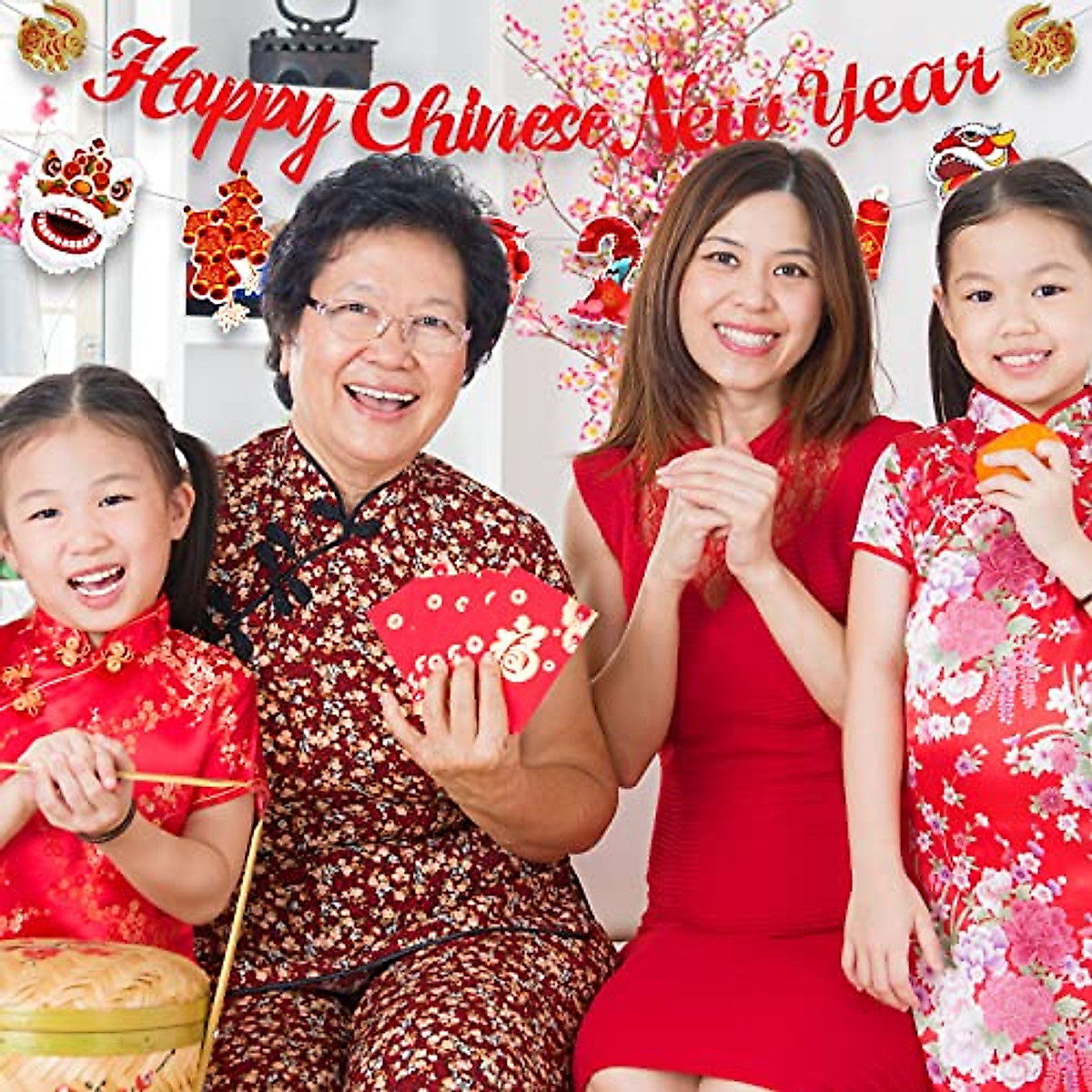 5 Pcs Happy Chinese New Year Banner Lunar New Year Decoration 2023 Pre Assembled Spring Festival Hanging Wall Decor for Home Office Party Supplies Party Photo Background