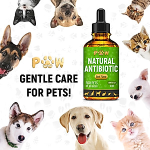 Antibiotic for Cats | Natural Antibiotics for Dogs | Cat Antibiotics | Dog Antibiotic | Antibiotic for Dogs | Natural Antibiotics for Cats | Natural Dietary Supplement Pet Antibiotic | Beef | 2 Oz