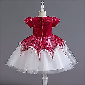 French Fancy Dress Kids Toddler Baby Girls Summer Floral Cotton Short Sleeve Glitter Dress Beauty Party Dress (Hot Pink, 9-10 Years)