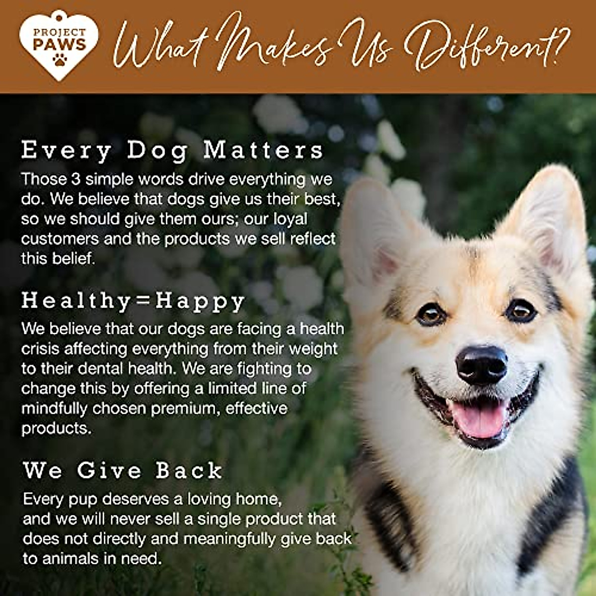 Bone Broth for Dogs with Powdered Elk Antler and Bone - Collagen and Mineral Rich Food Topper for Dogs - Whole Food Superfood Powder Multivitamin for Dogs - 4 oz