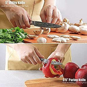 FineTool Kitchen Knife Sets, Professional Chef Knives Set Japanese 7Cr17mov High Carbon Stainless Steel Vegetable Meat Cooking Knife Accessories with Red Solid Wood Handle, 6 Pieces Set Boxed Knife