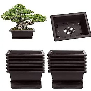 CZ Grain 6 Inch Bonsai Pots and Drip Trays - Starter Bonsai Pots, Small Bonsai Pots (6 Pots)