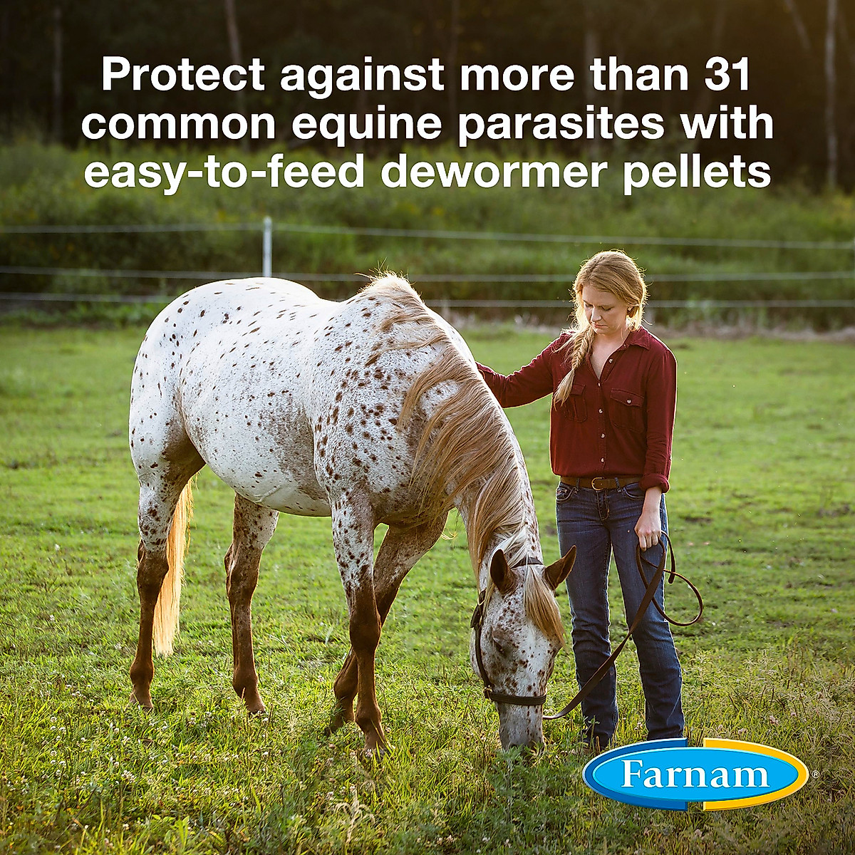 Farnam Pyrantel Care Daily Horse Dewormer 2.11% (Pyrantel Tartrate) for Horses of All Ages, Equine Anthelmintic, Continuous Protection Against Small Stronglyes, Ascardis and Pinworms, 50 lbs