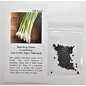 David's Garden Seeds Bunching Onion Guardsman FBA-2136 (White) 200 Non-GMO, Open Pollinated Seeds
