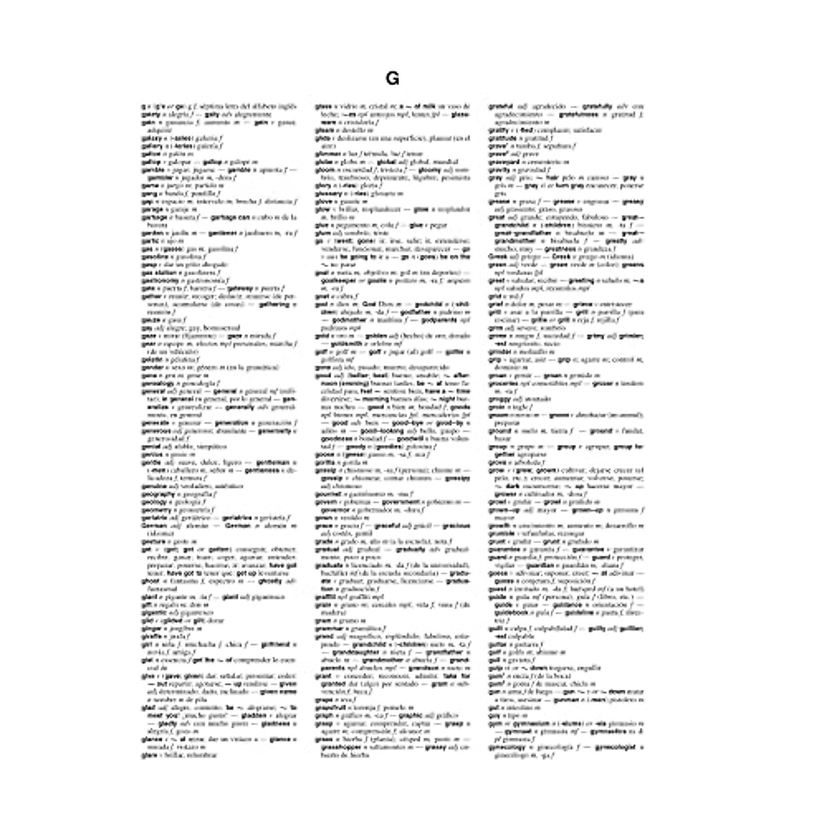 Webster's Notebook Spanish-English Dictionary - Designed for students - Fits in a 3-ring binder (Spanish and English Edition)