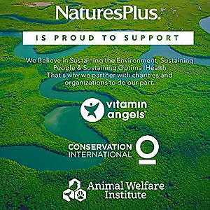 NaturesPlus Source of Life Garden Certified Organic Vitamin C - 500 mg, 60 Vegan Capsules - Whole Food Immune Support Supplement, Antioxidant - Vegetarian, Gluten-Free - 30 Servings