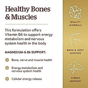Solgar Magnesium with Vitamin B6, 250 Tablets - Promote Healthy Bone Mineralization, Support Nerve & Muscle Function, Energy Metabolism - Non-GMO, Vegan, Gluten Free, Dairy Free, Kosher - 83 Servings